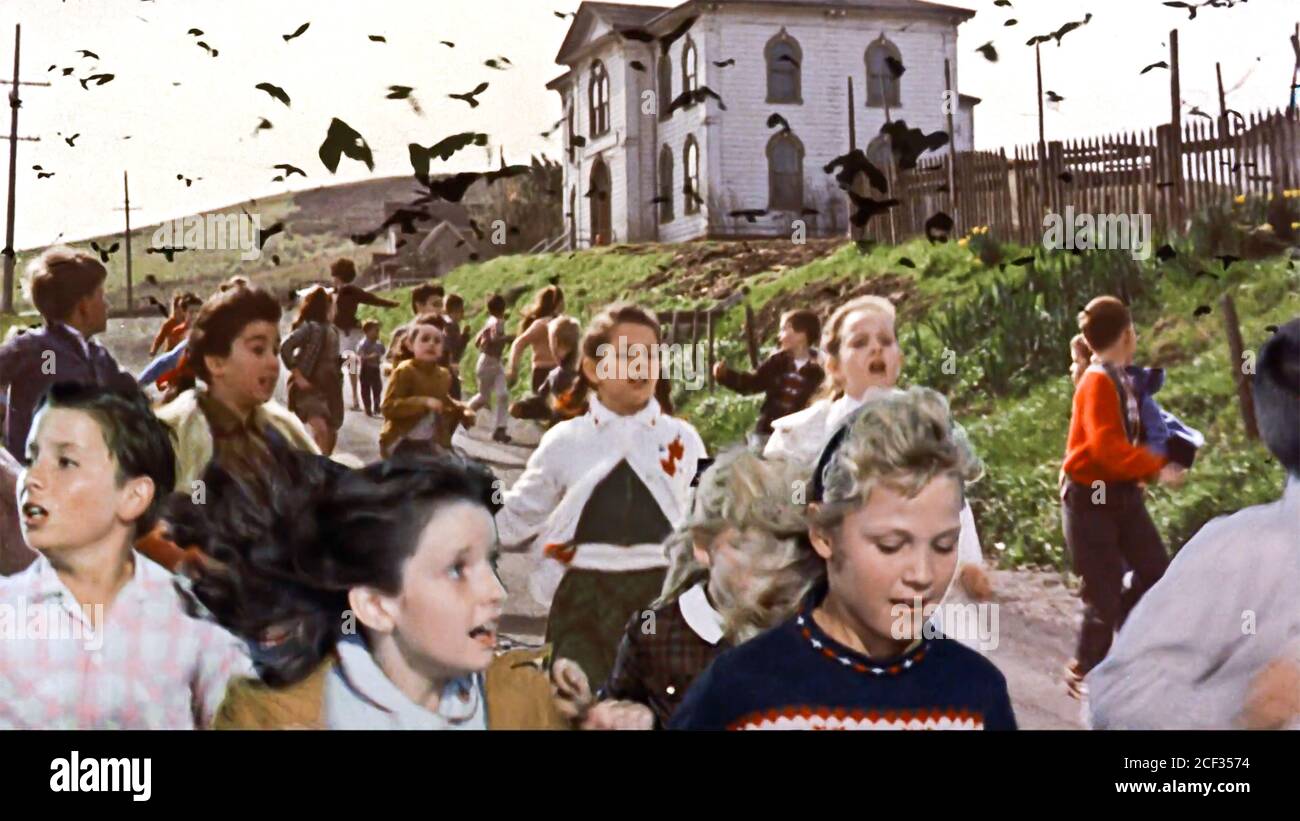 Alfred hitchcock the birds still hi-res stock photography and images ...