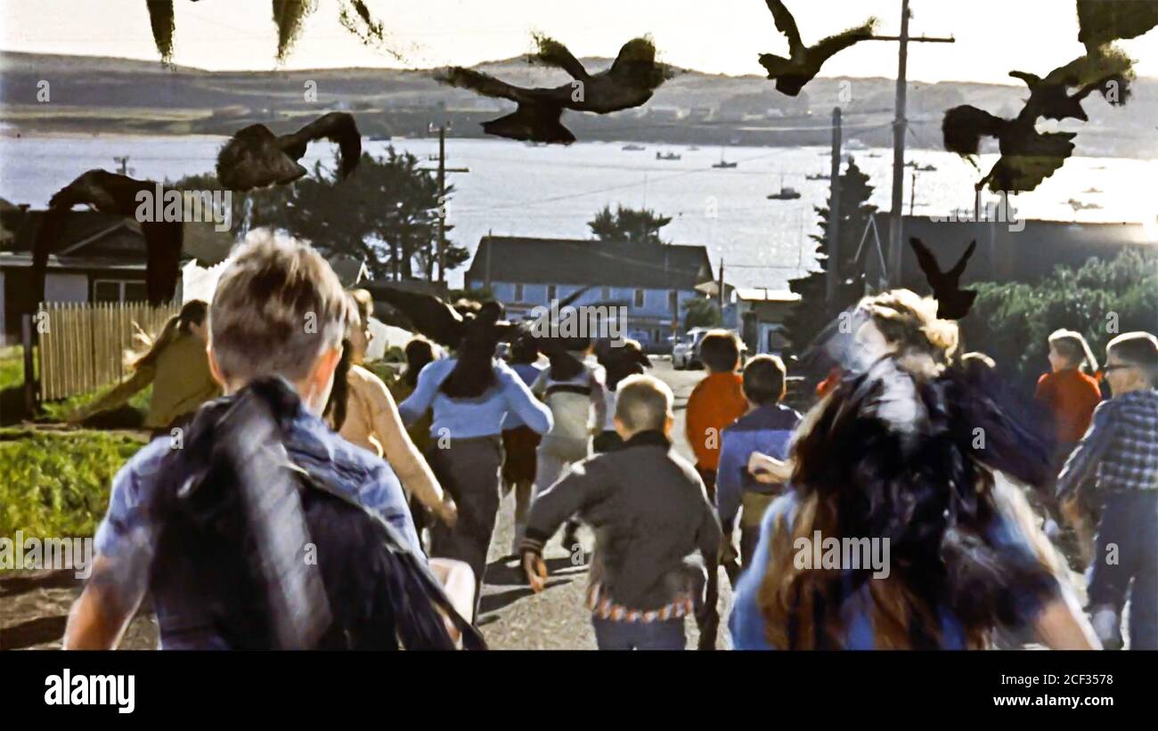 Alfred hitchcock the birds still hi-res stock photography and images ...