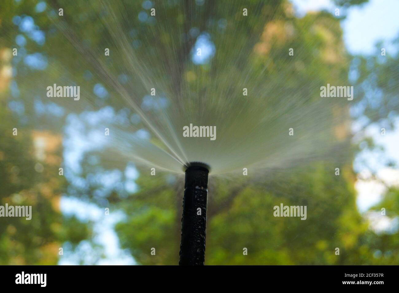 A close-up under a sprinkler with water spraying and trees behind Stock ...