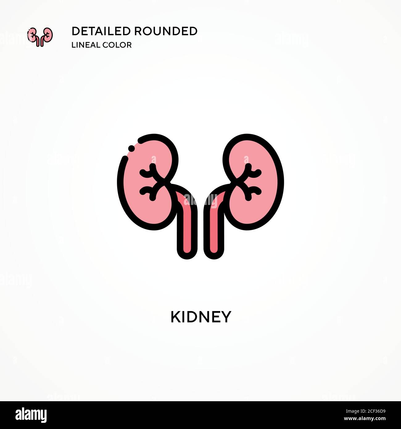 Kidney vector icon. Modern vector illustration concepts. Easy to edit ...