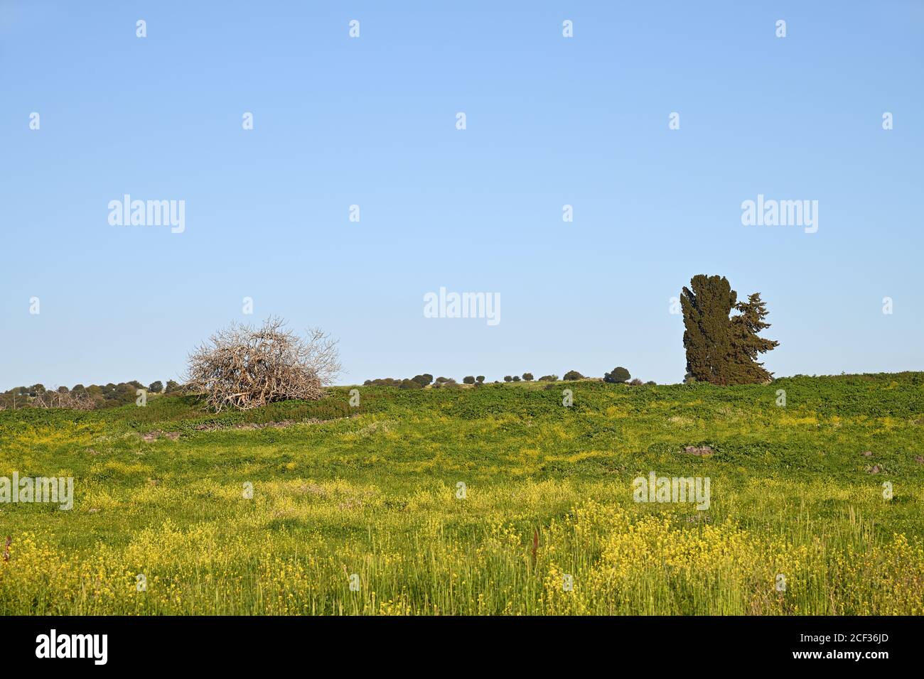 Landscape of the Hula Valley, Golan Heights, Northern Israel Stock ...