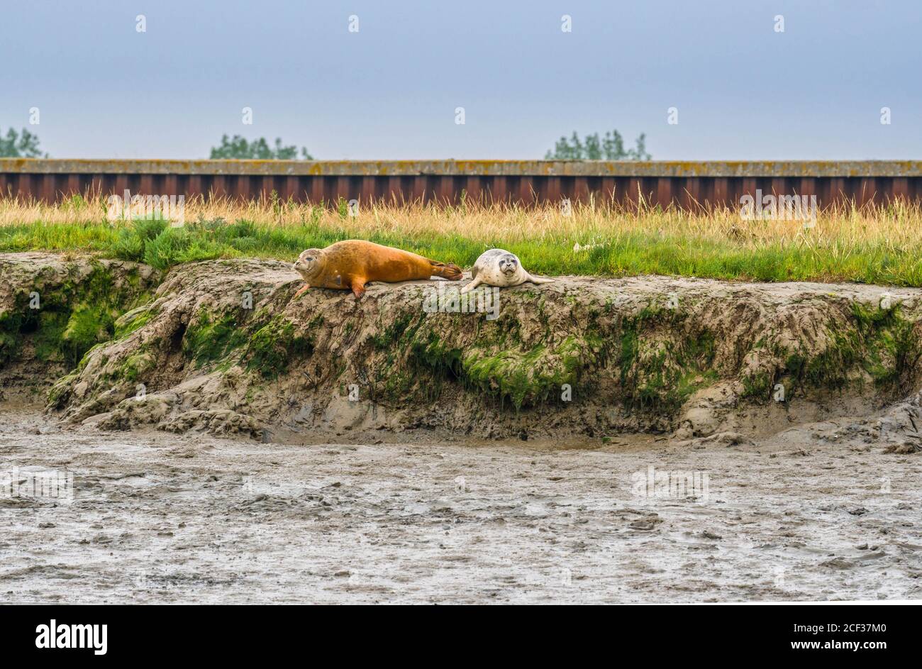 Walton backwaters hi-res stock photography and images - Alamy