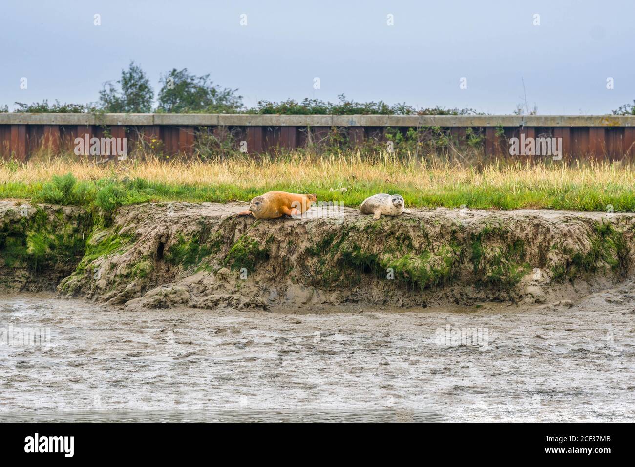 Walton backwaters hi-res stock photography and images - Alamy