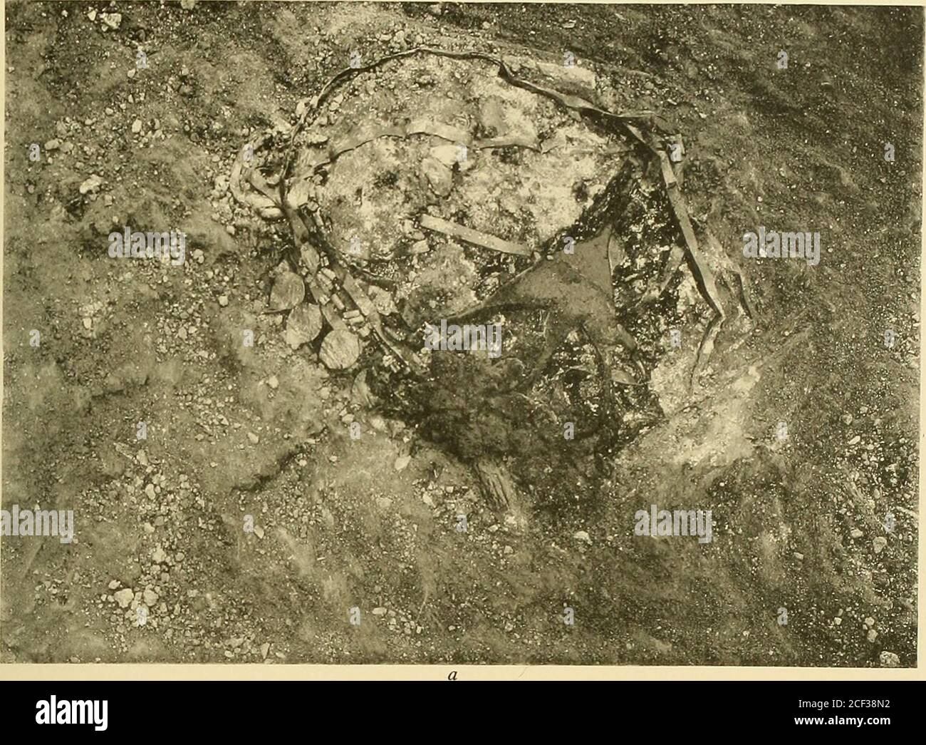 . Ur excavations. THE BODIES IN POSITION IN THE GREAT DEATH-PIT PG/1237 ...