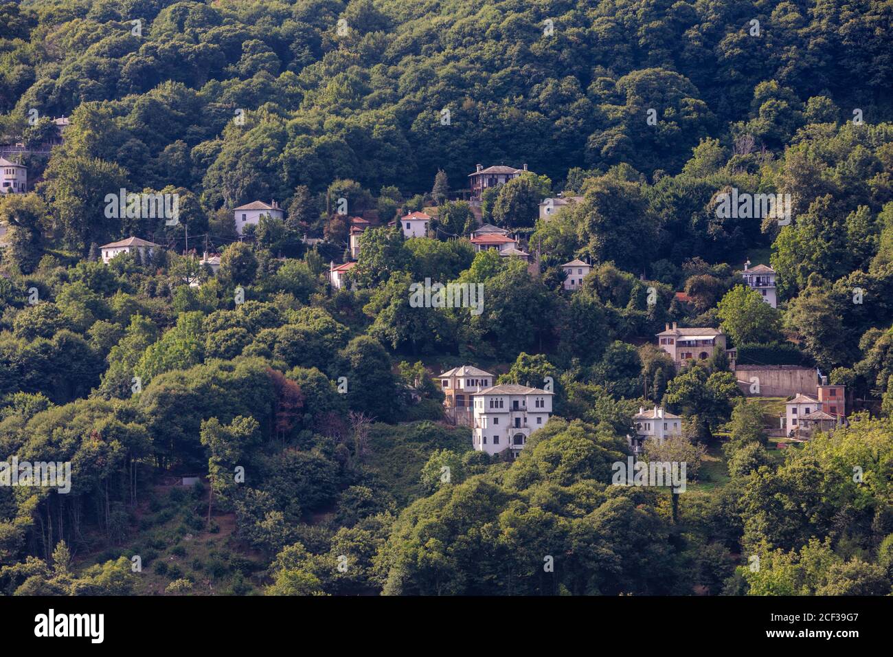 Tsagarada village in Pelion mountain. Magnesia - Greece Stock Photo - Alamy