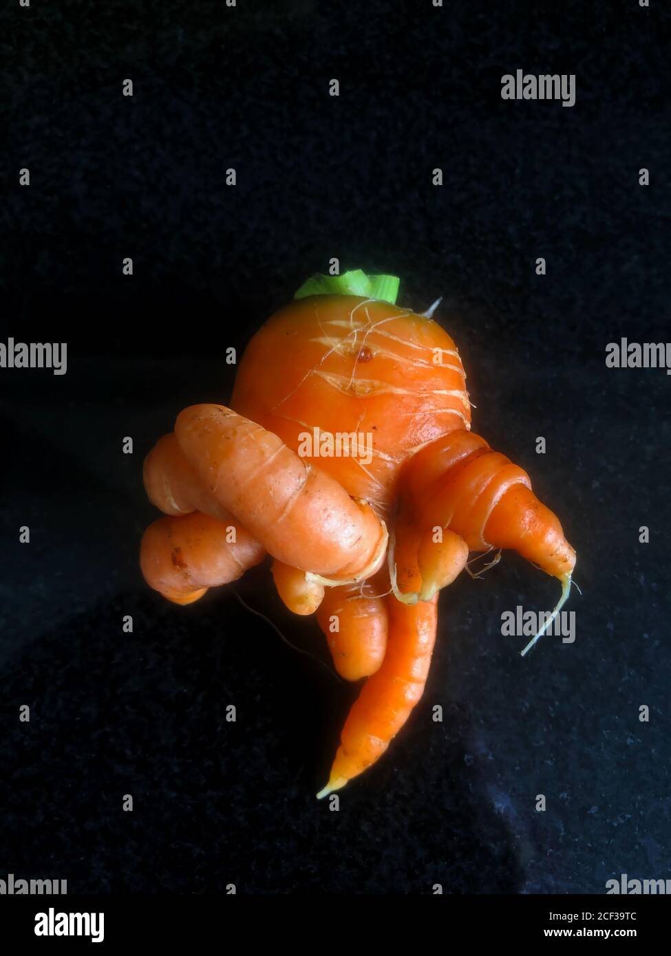 Curly carrot hi-res stock photography and images - Alamy