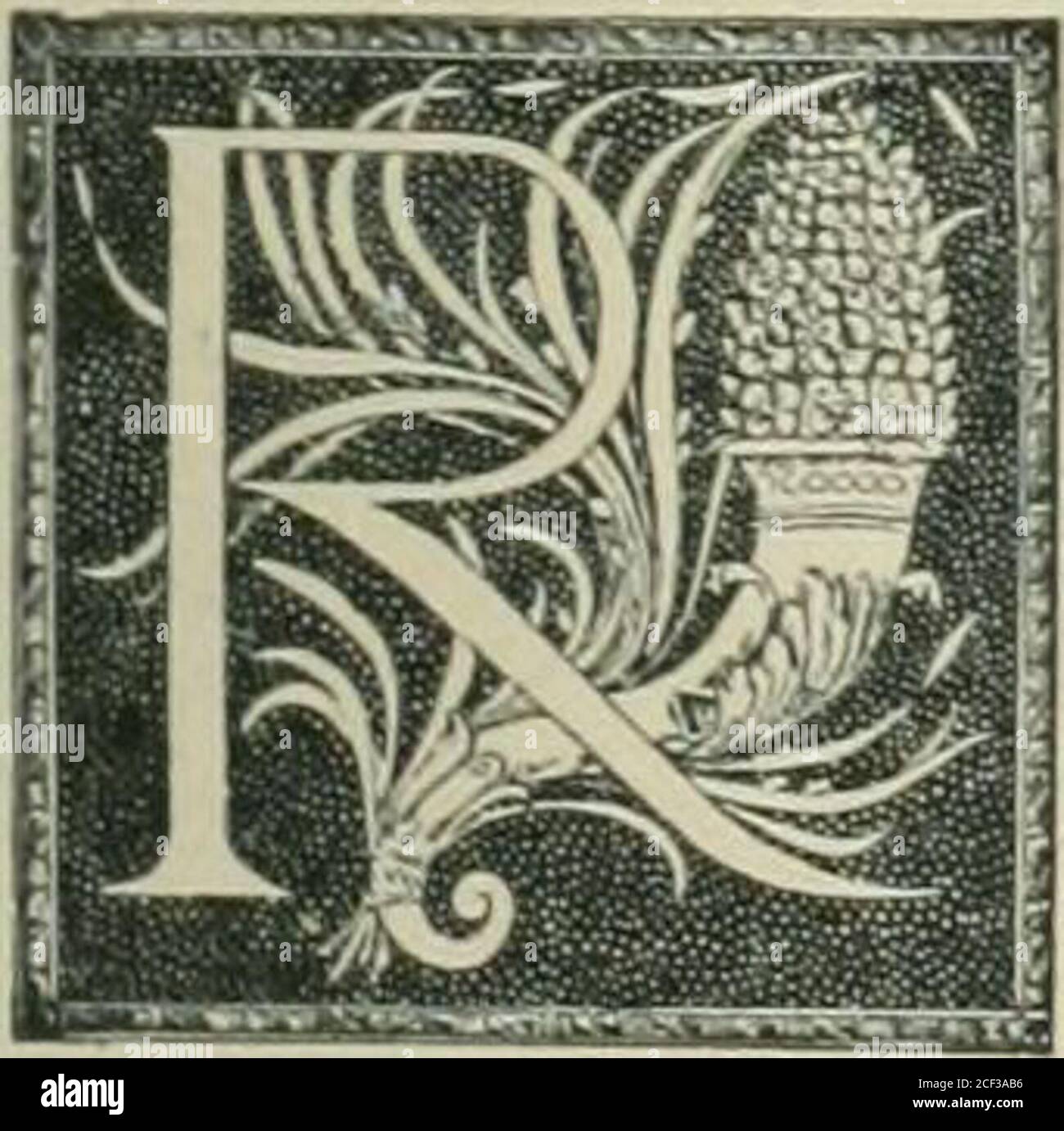 Ear of malchus hi-res stock photography and images - Alamy
