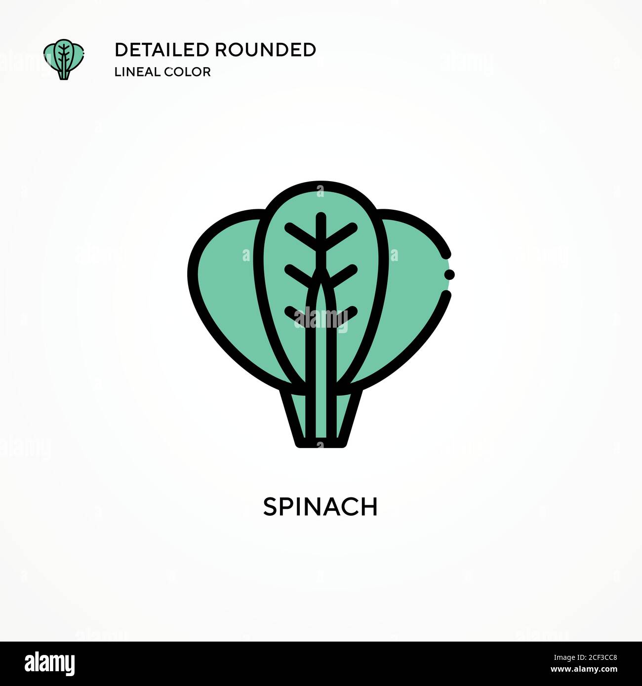 Spinach Vector Vectors High Resolution Stock Photography and Images - Alamy