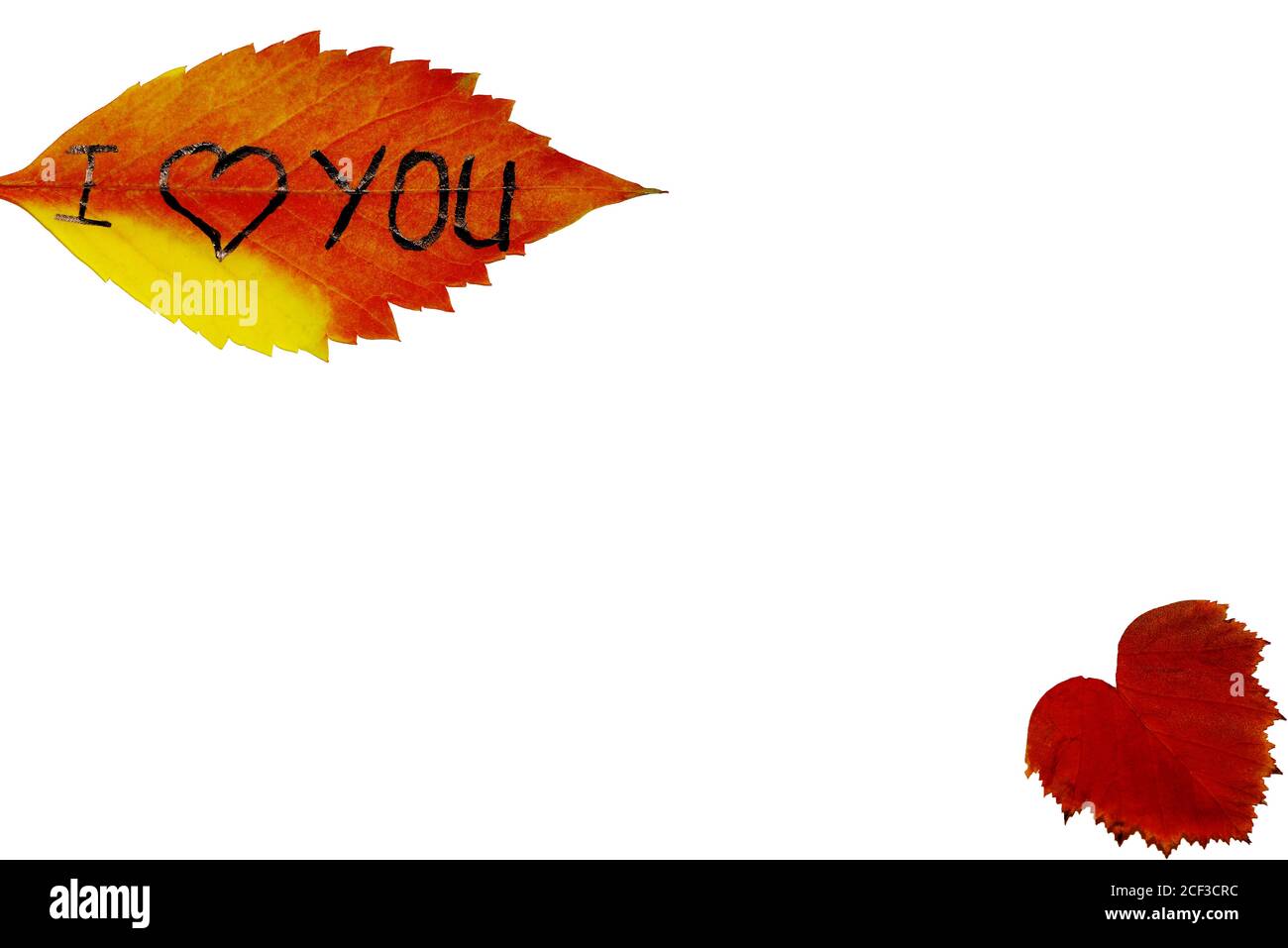 Autumn collection inscription Cut Out Stock Images & Pictures - Alamy