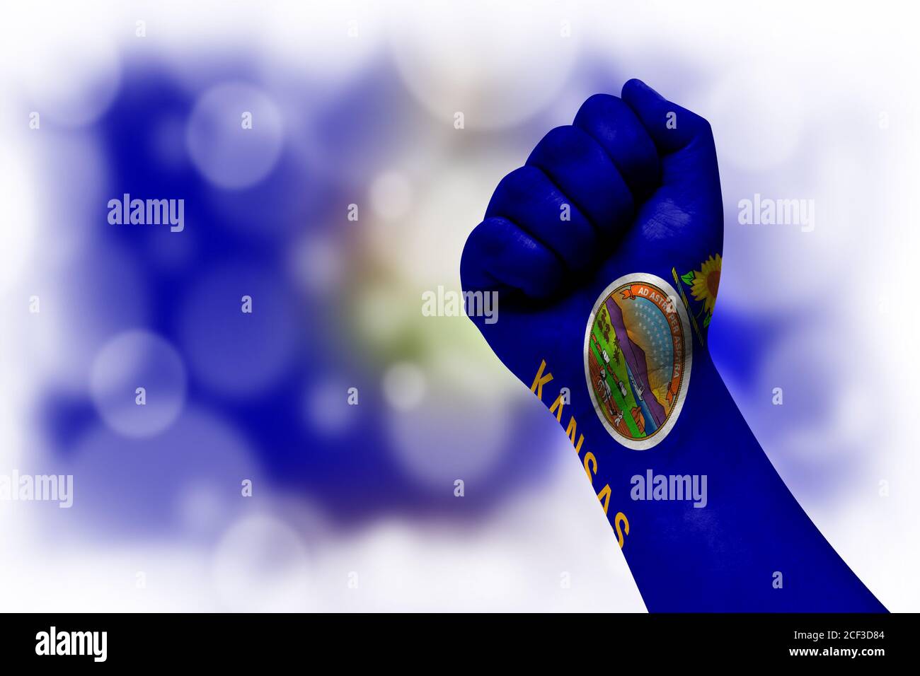 Flag of State of Kansas painted on male fist, strength,power,concept of ...
