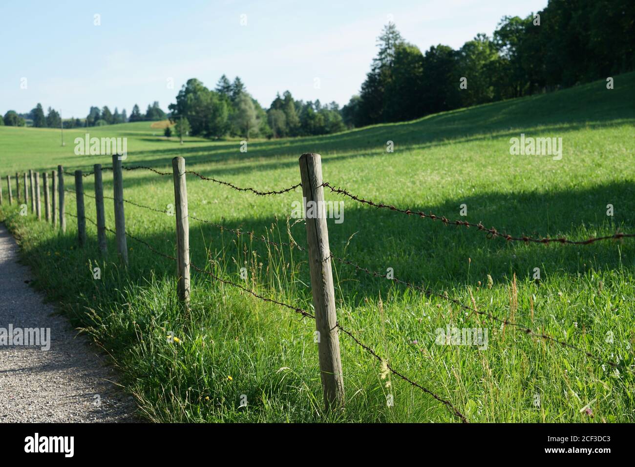 Beautiful shot of narrow road on farmland with a clear sky background ...