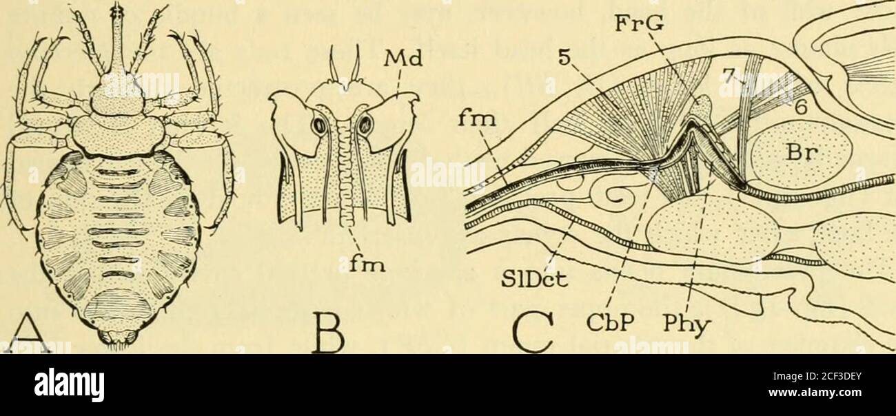 . Smithsonian miscellaneous collections. o penetrate into the folds of ...