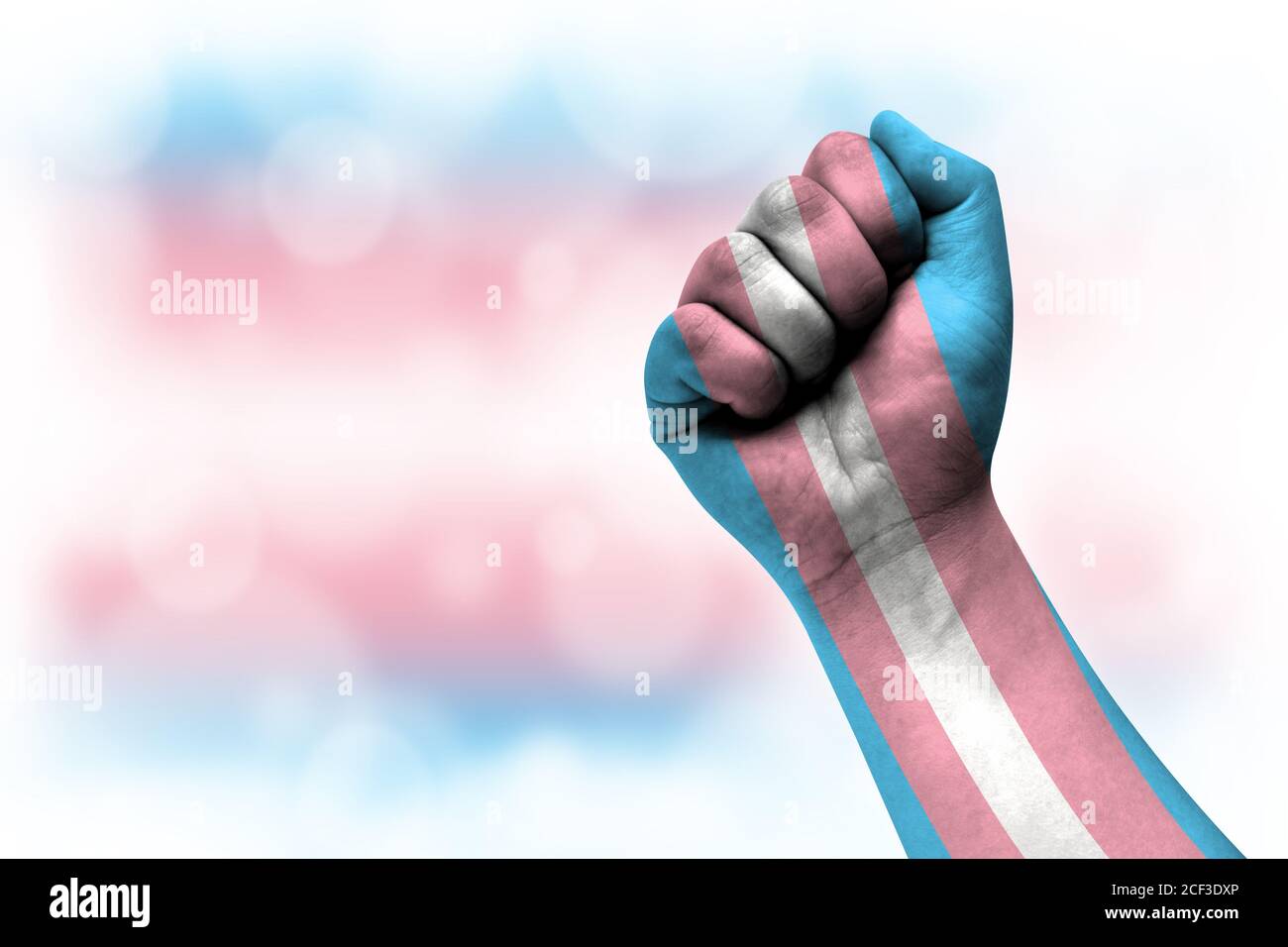 Flag of Transgender painted on male fist, strength,power,concept of ...