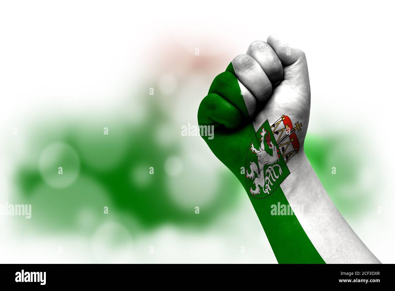 Flag of Styria painted on male fist, strength,power,concept of conflict ...