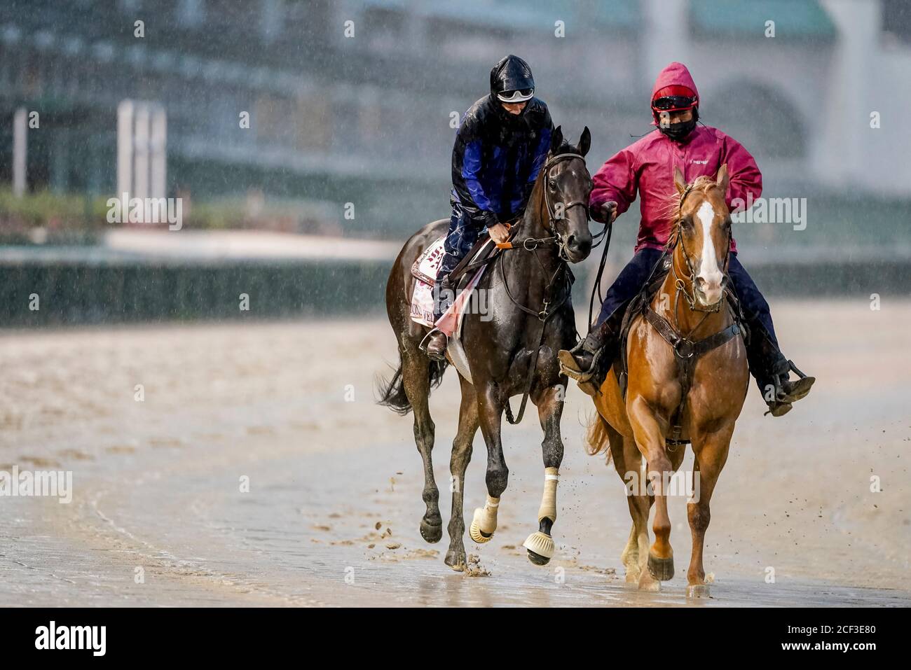 Donna scott hi-res stock photography and images - Alamy