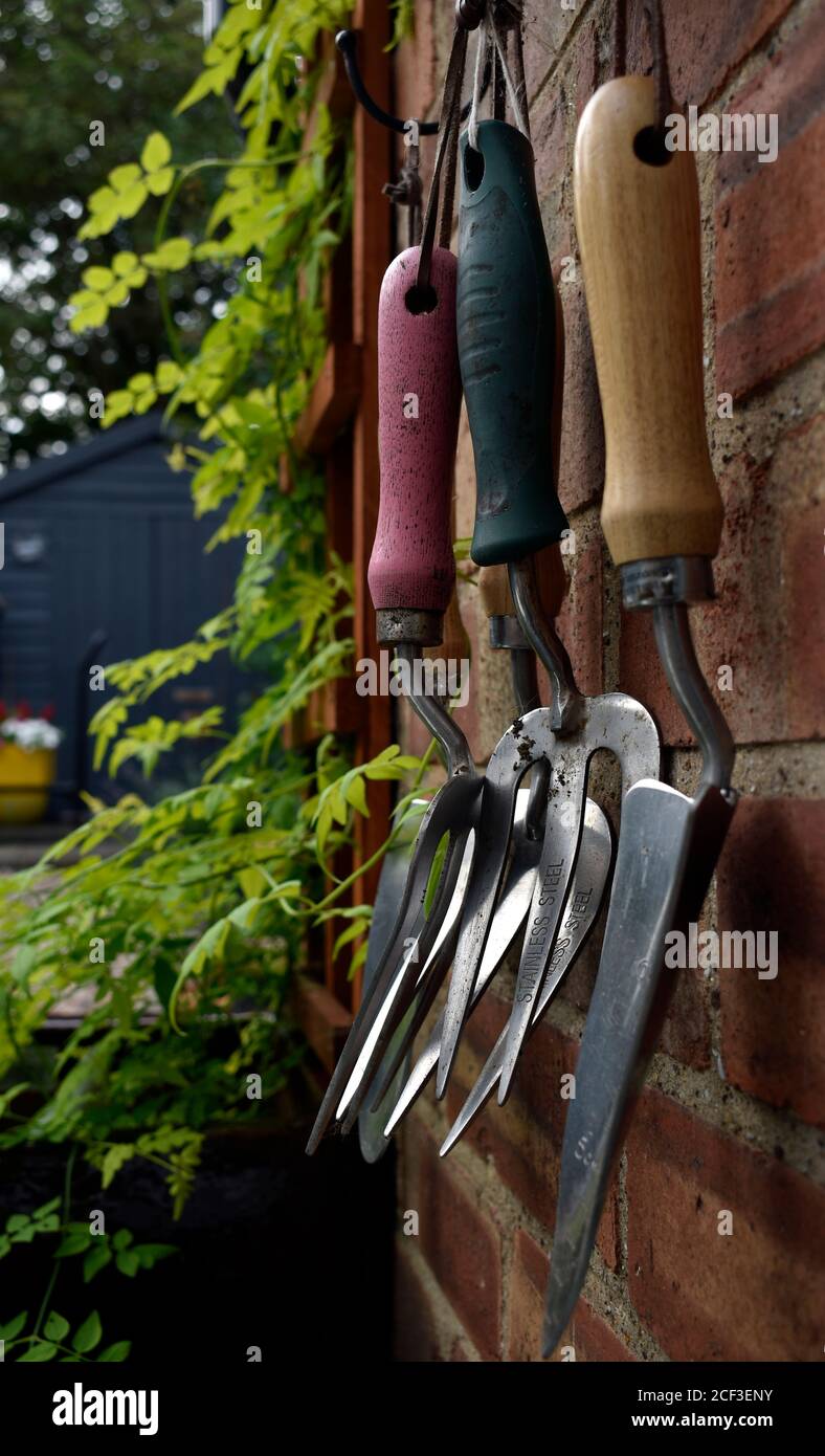 Gardeners stainless steel hand tools,forks & trowel, hang from string ...