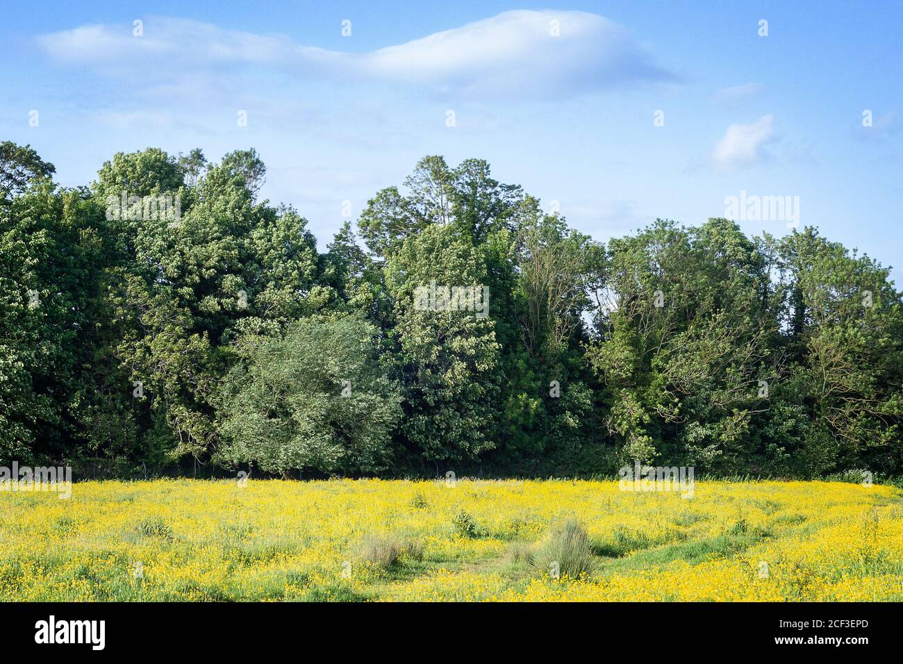 Hambrook marsh hi-res stock photography and images - Alamy