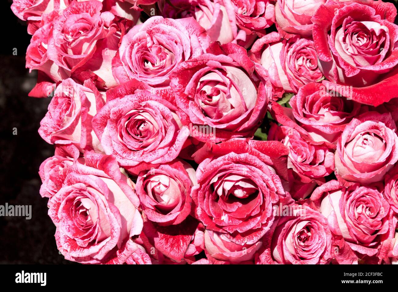 Bouquets of white and pink roses in a flower market Stock Photo - Alamy