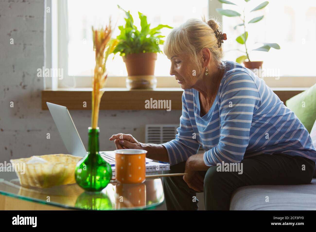 Typing text, message. Senior woman studying at home, getting online ...