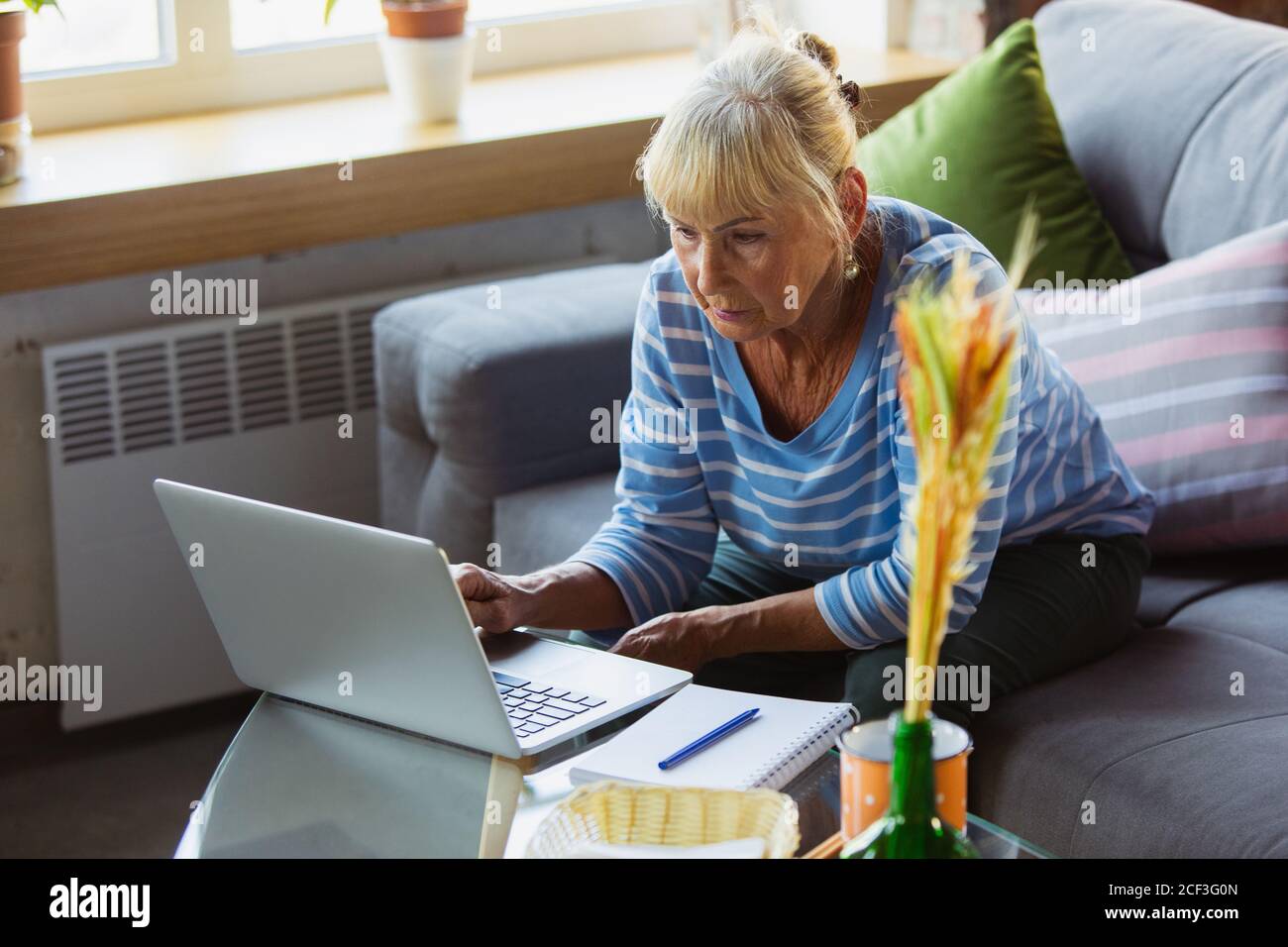Typing text, message. Senior woman studying at home, getting online ...