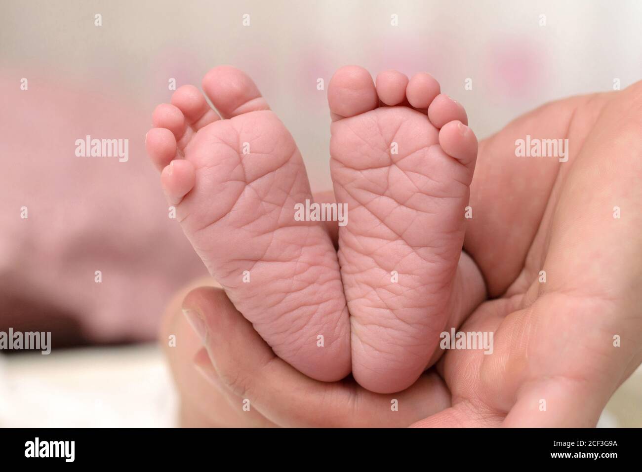 Feet of a newborn baby close-up, the father holds the baby's small feet ...