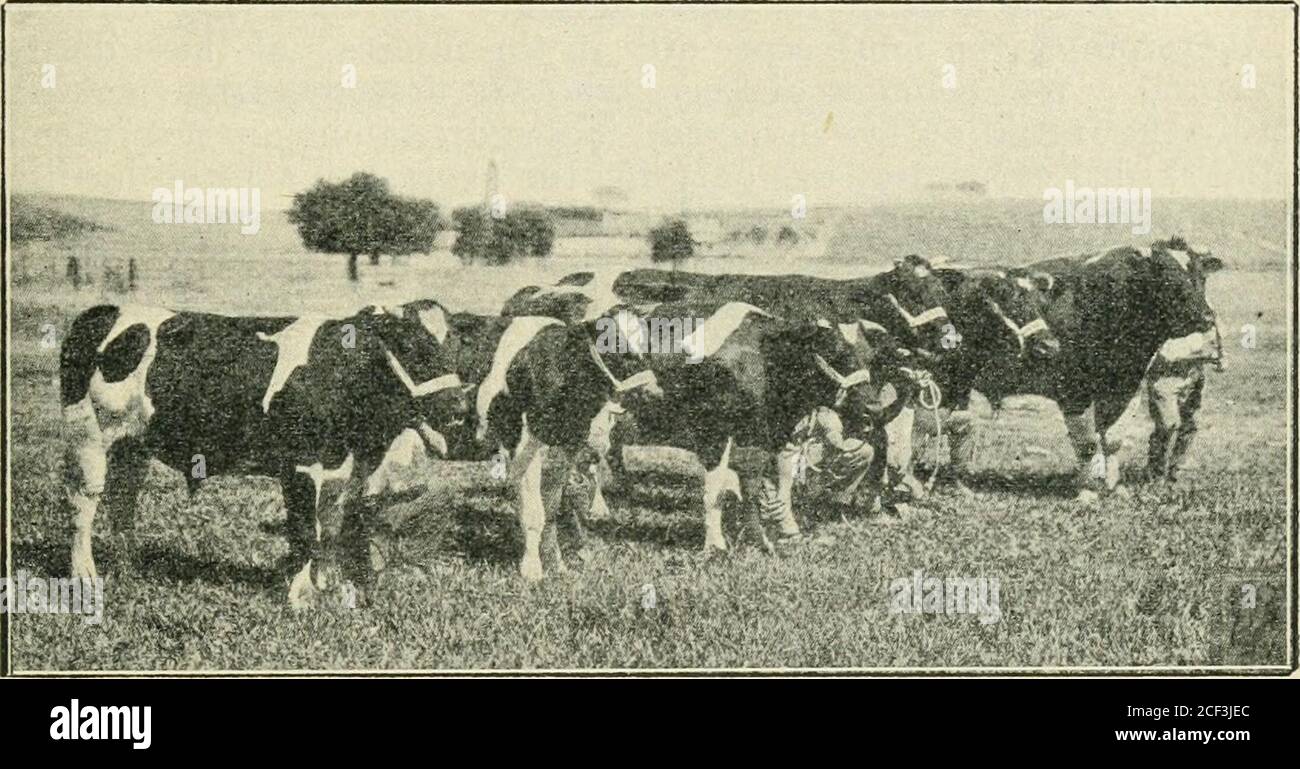 Persian Agriculture