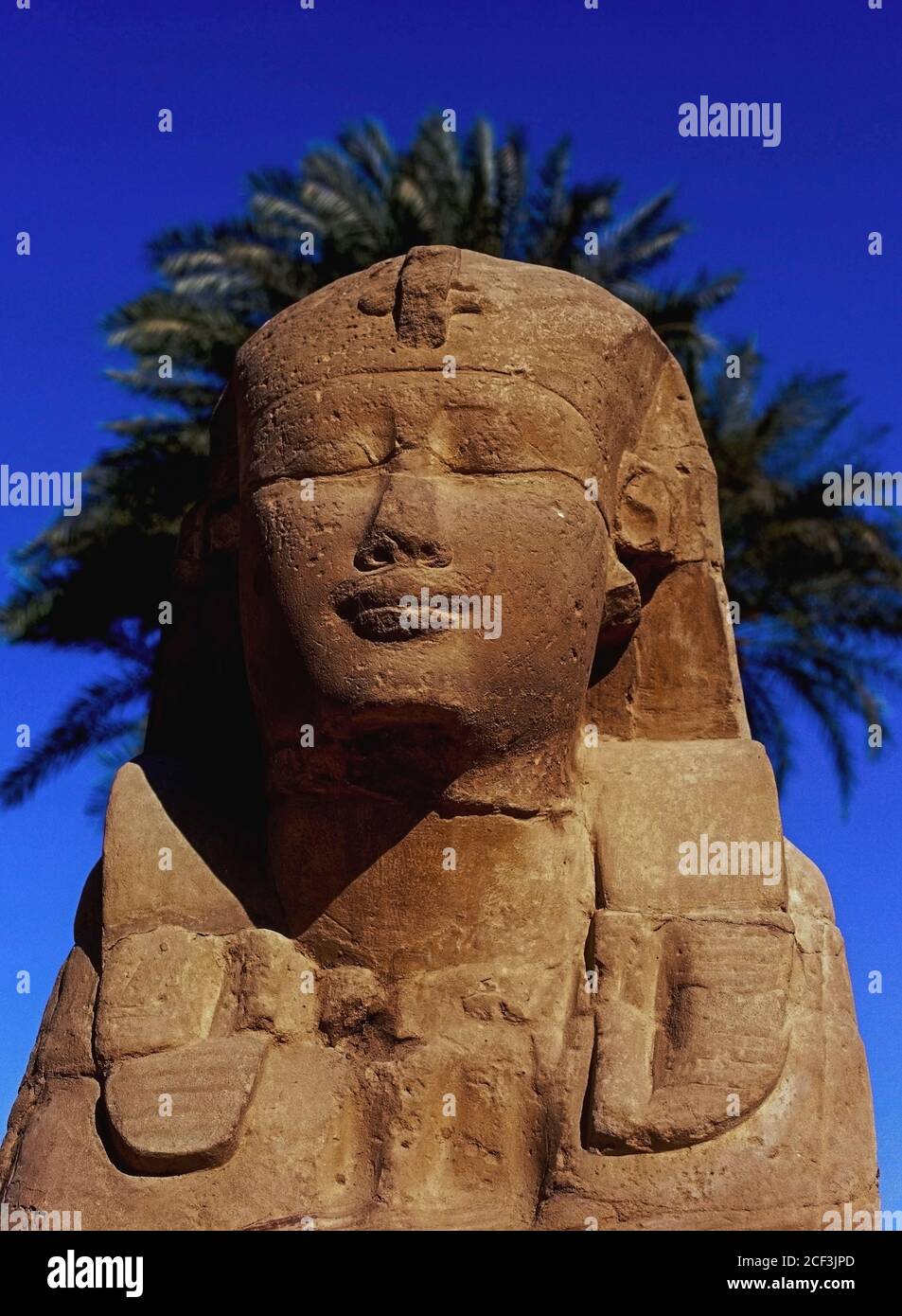 Dreamlike expression on human face of a stone sphinx sculpted 4th ...