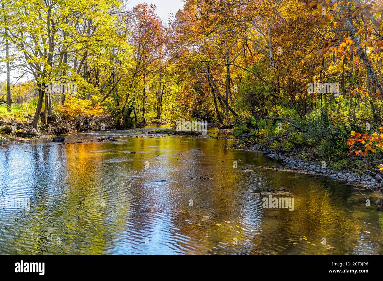 Yellow orange green autumn trees reflection view on Cedar Creek river ...