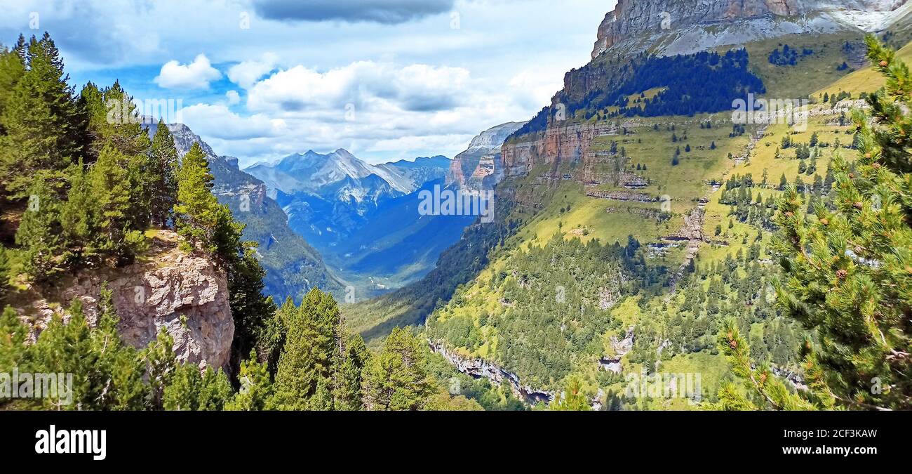 Explore forest hi-res stock photography and images - Alamy