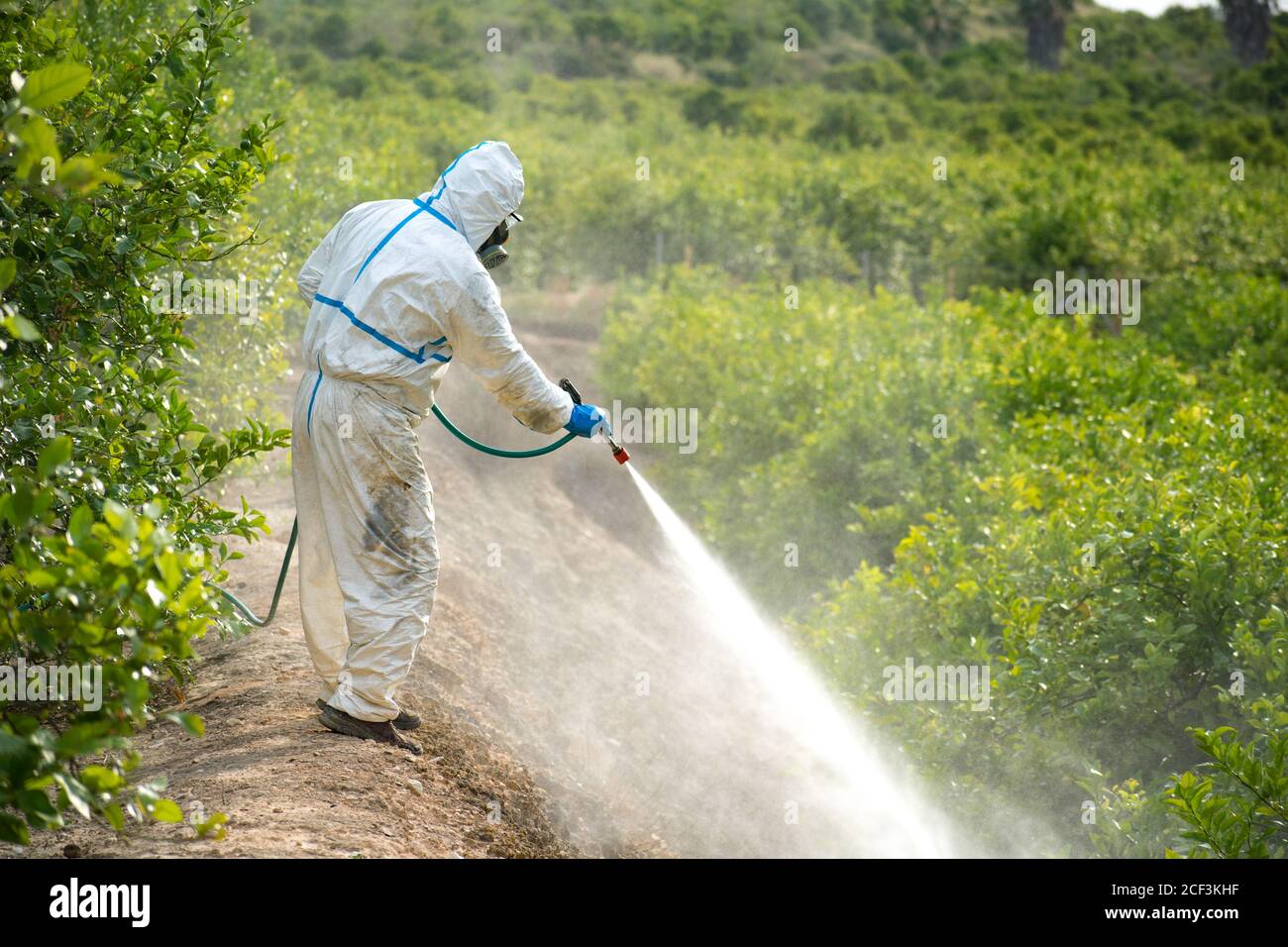 Farm worker in protective suit spray pesticide, insecticide or fumigate ...