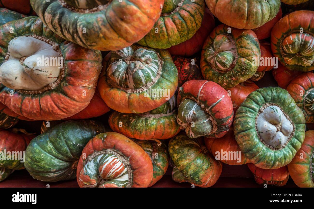 This unique looking variety hi-res stock photography and images - Alamy