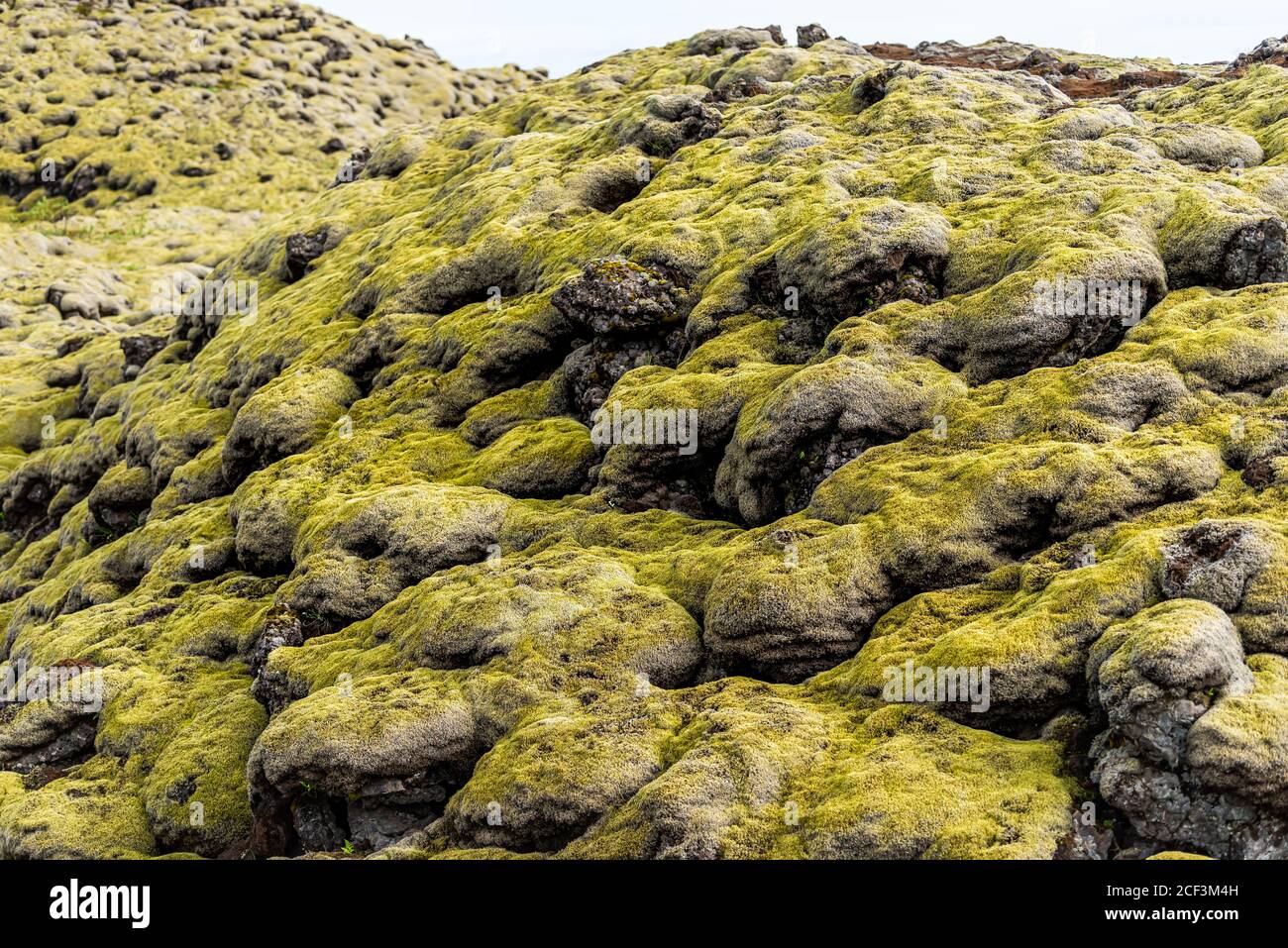 Rock mound shapes in Iceland yellow green moss covered stones in ...
