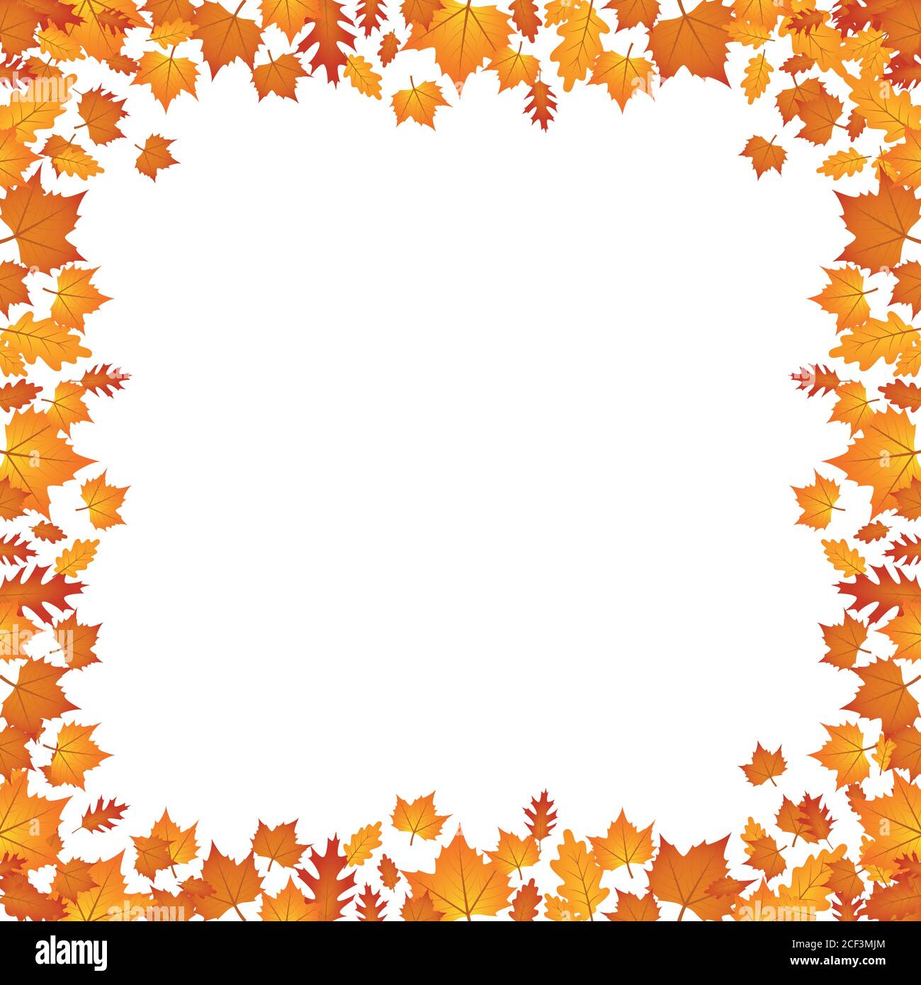 autumn leaves border isolated on white background vector illustration ...