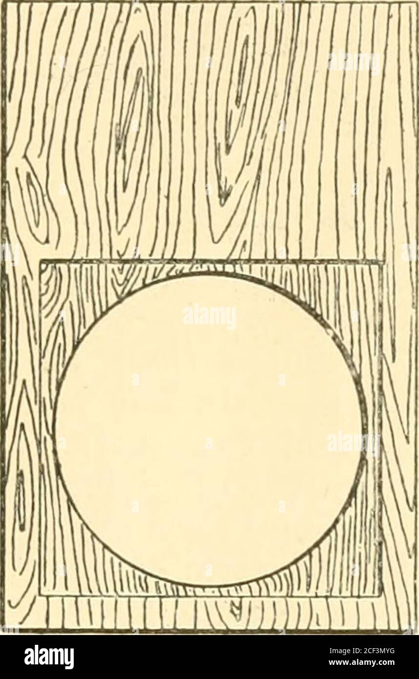 . The book of photography; practical, theoretical and applied. 1 Stock ...