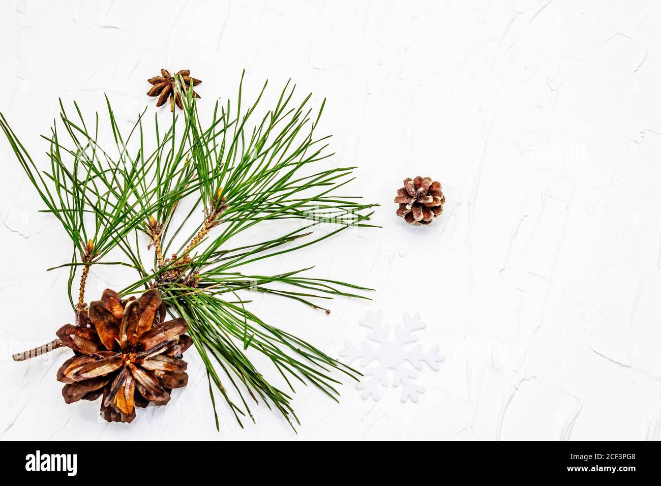Christmas or New Year concept. Fresh pine branches and pine cones ...