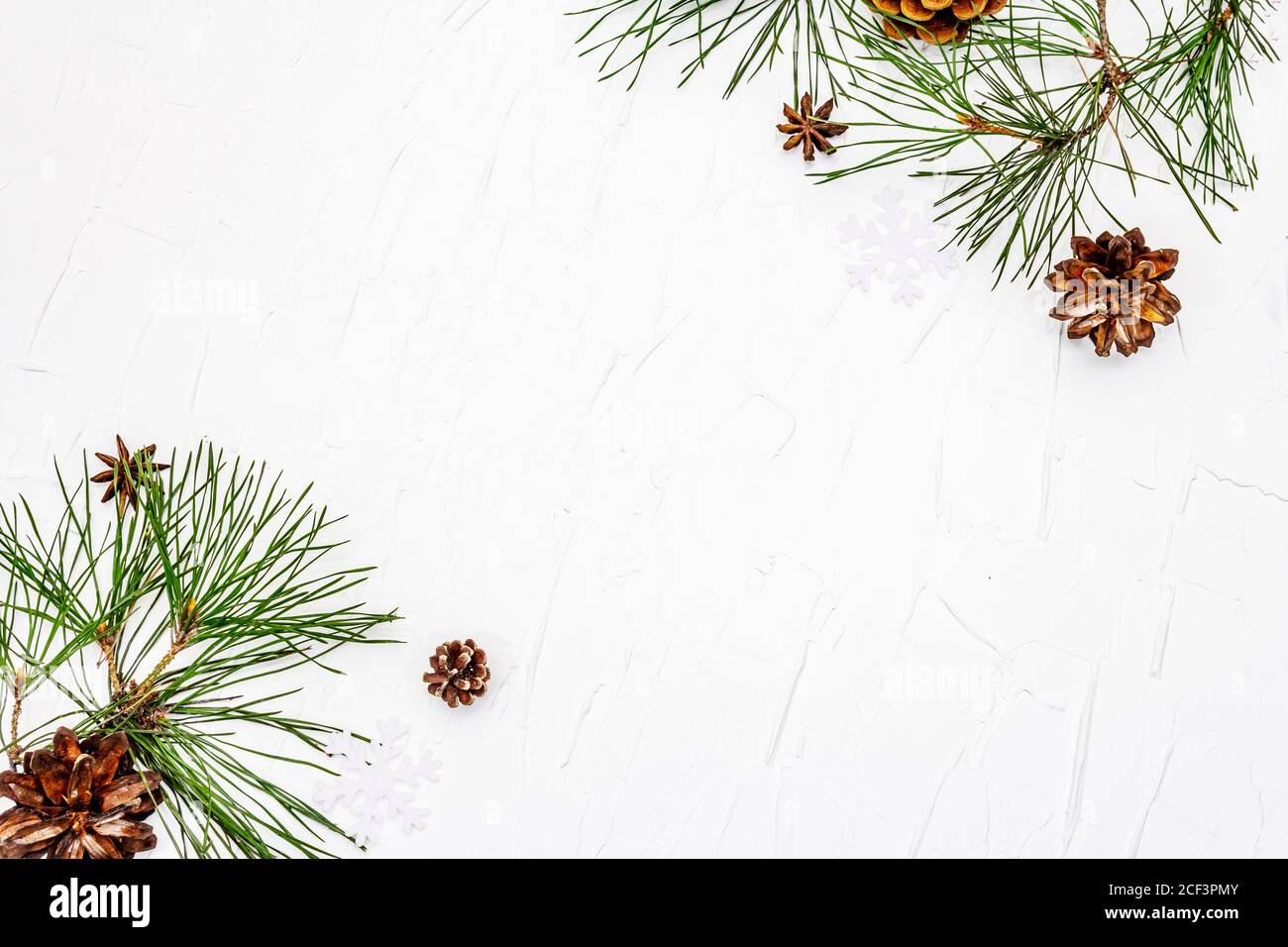 Christmas or New Year concept. Fresh pine branches and pine cones ...