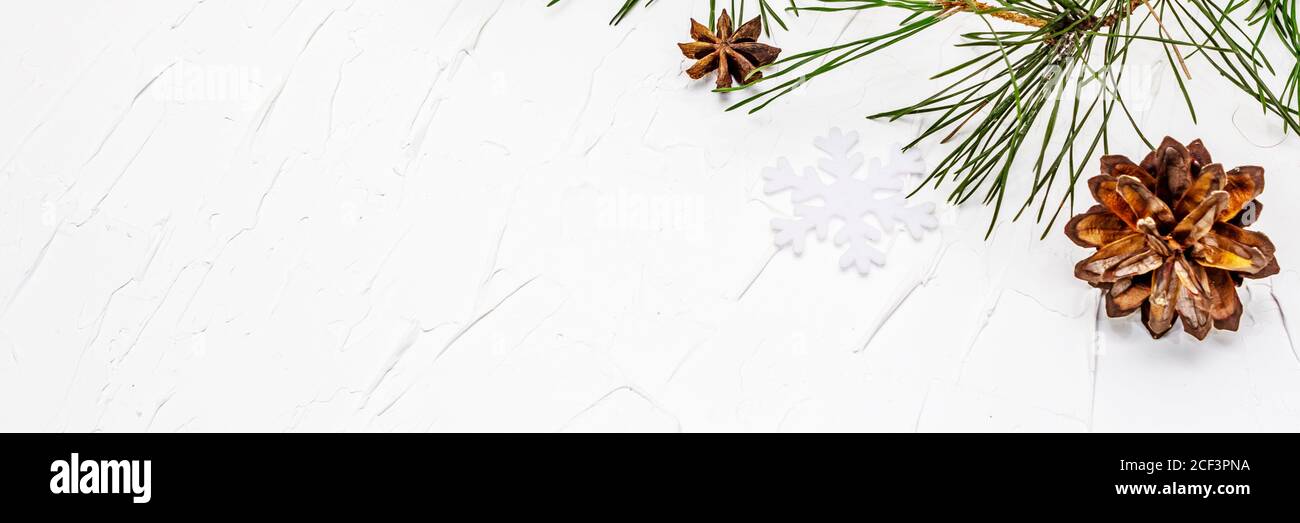 Christmas or New Year concept. Fresh pine branches and pine cones ...