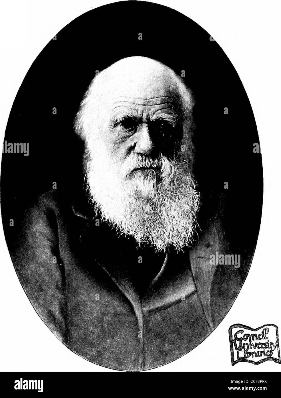 Death in westminster abbey Black and White Stock Photos & Images - Alamy