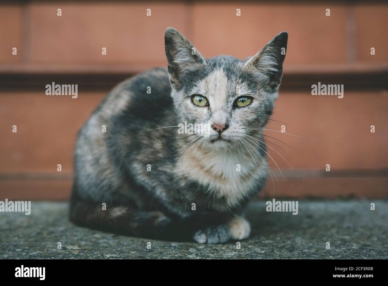 Sit down on the street hi-res stock photography and images - Alamy