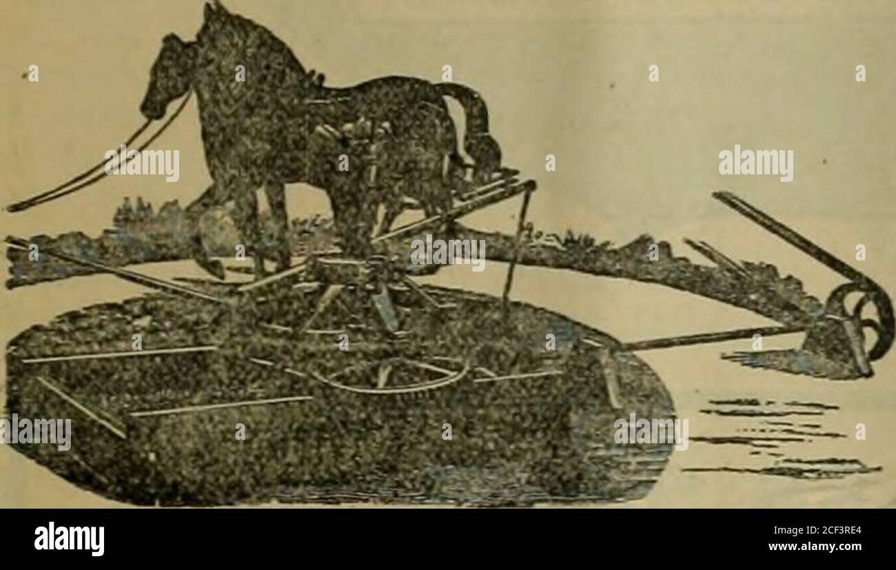 Cornsheller hi-res stock photography and images - Alamy