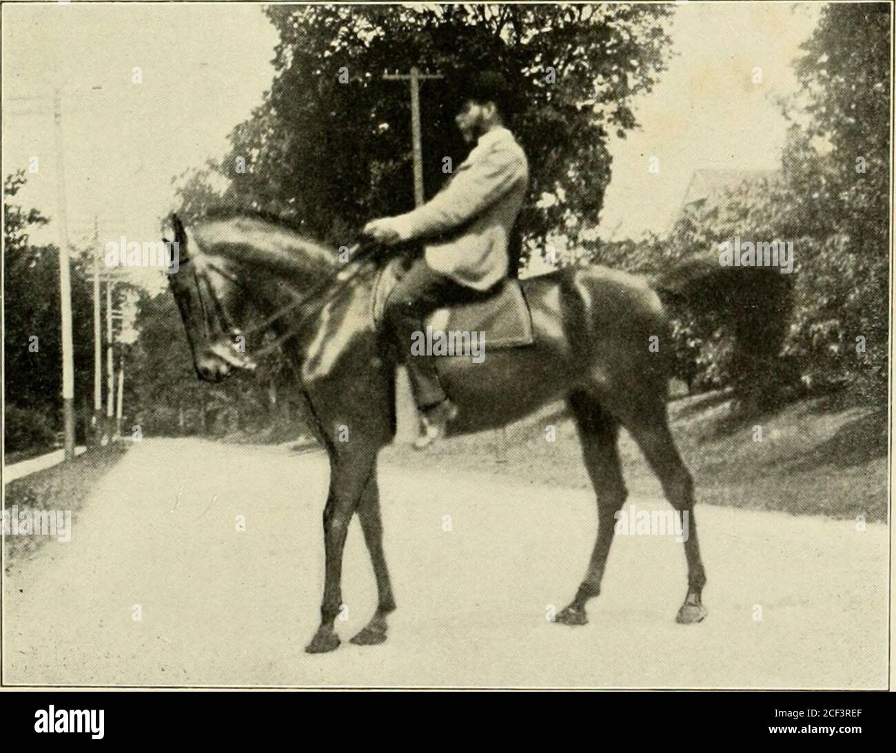 Rowel spurs hi-res stock photography and images - Alamy