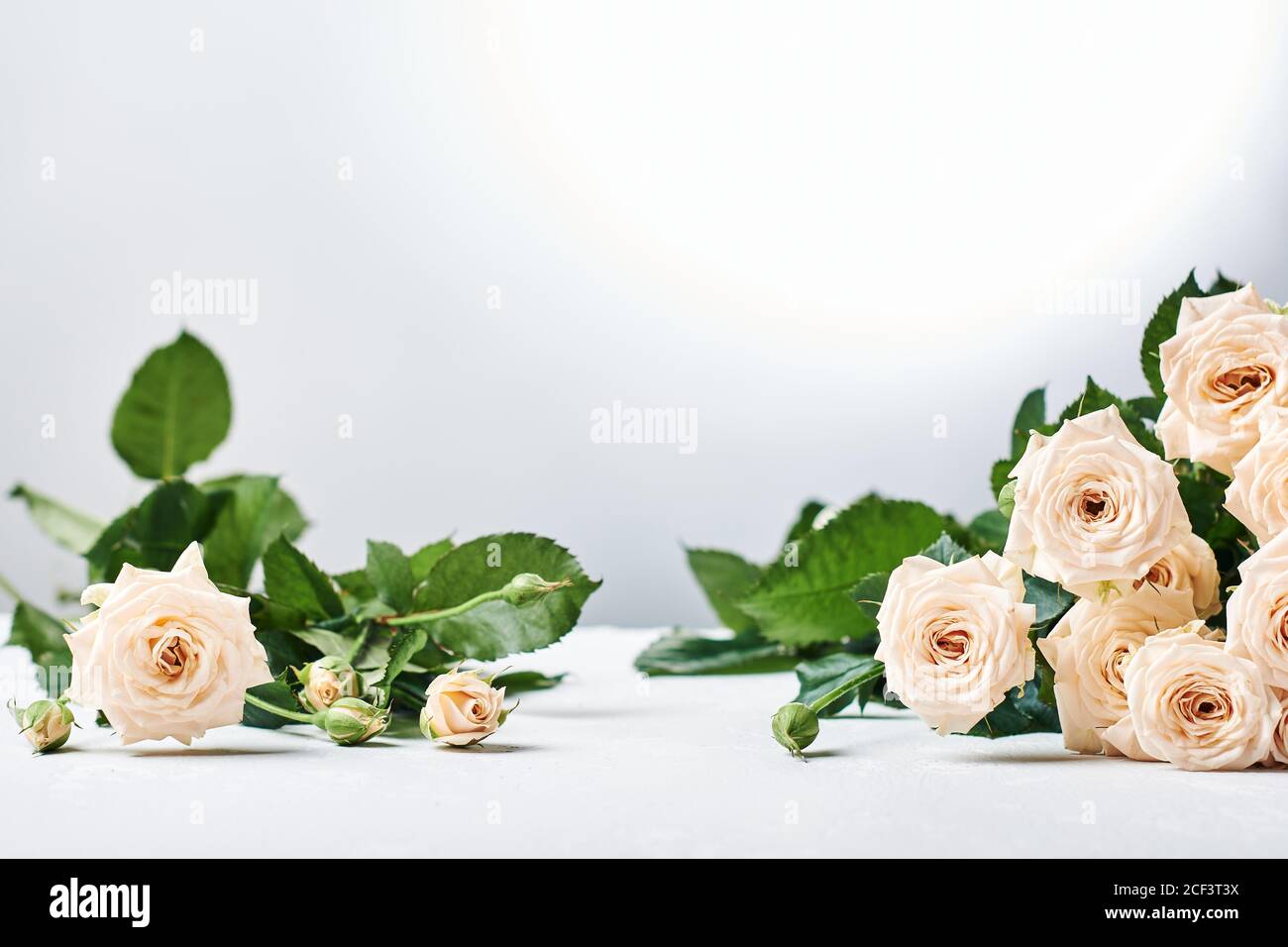 Light rose beige hi-res stock photography and images - Alamy