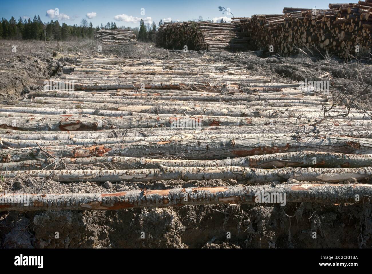 Timber frame construction way hi-res stock photography and images - Alamy