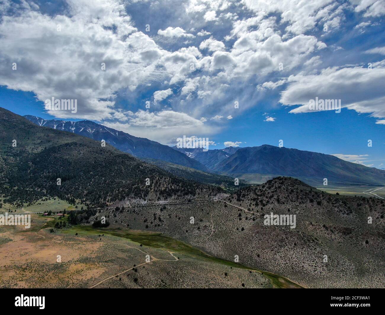 Aerial view of green land valley and mountain in Aspen Springs, Mono ...