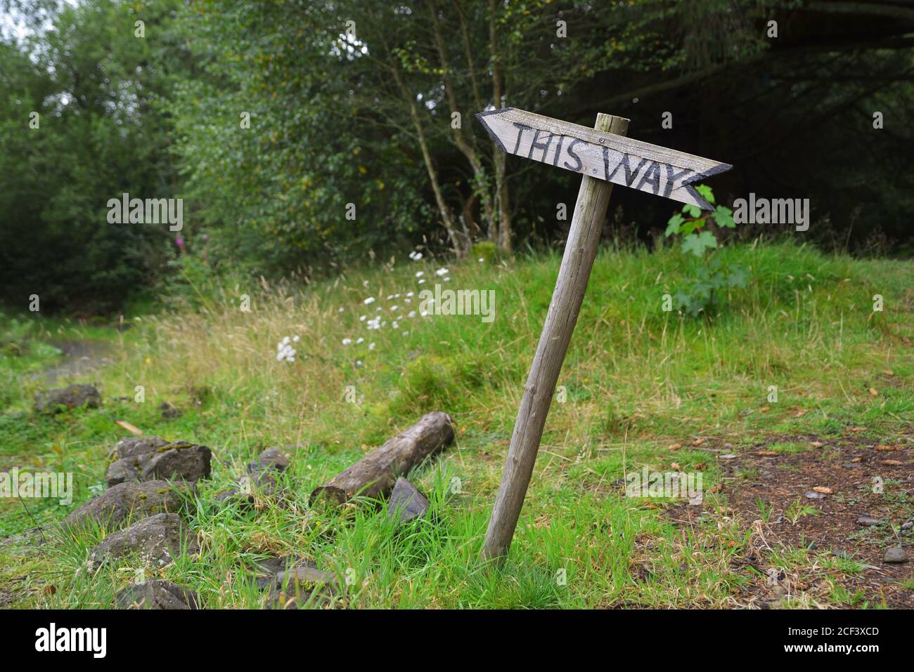 This Way Sign Stock Photo - Alamy