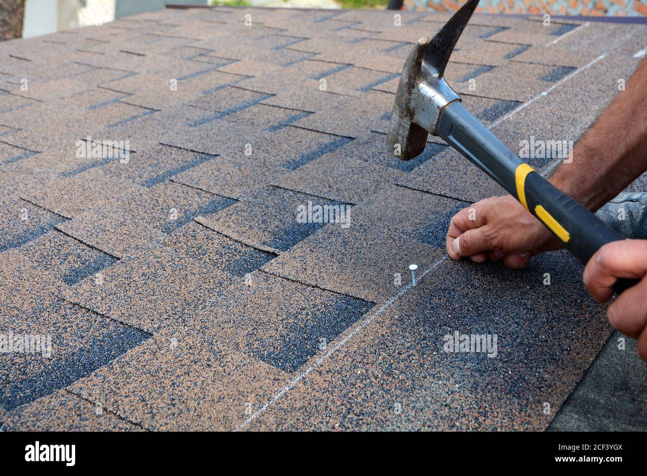 Hammer beam roof hi-res stock photography and images - Alamy