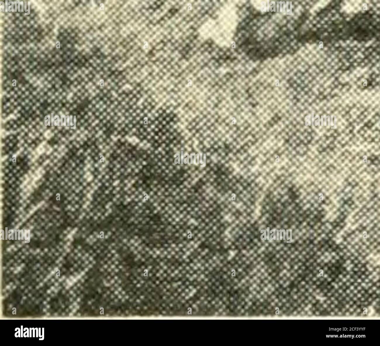 . The corn lady; the story of a country teacher's work Stock Photo - Alamy