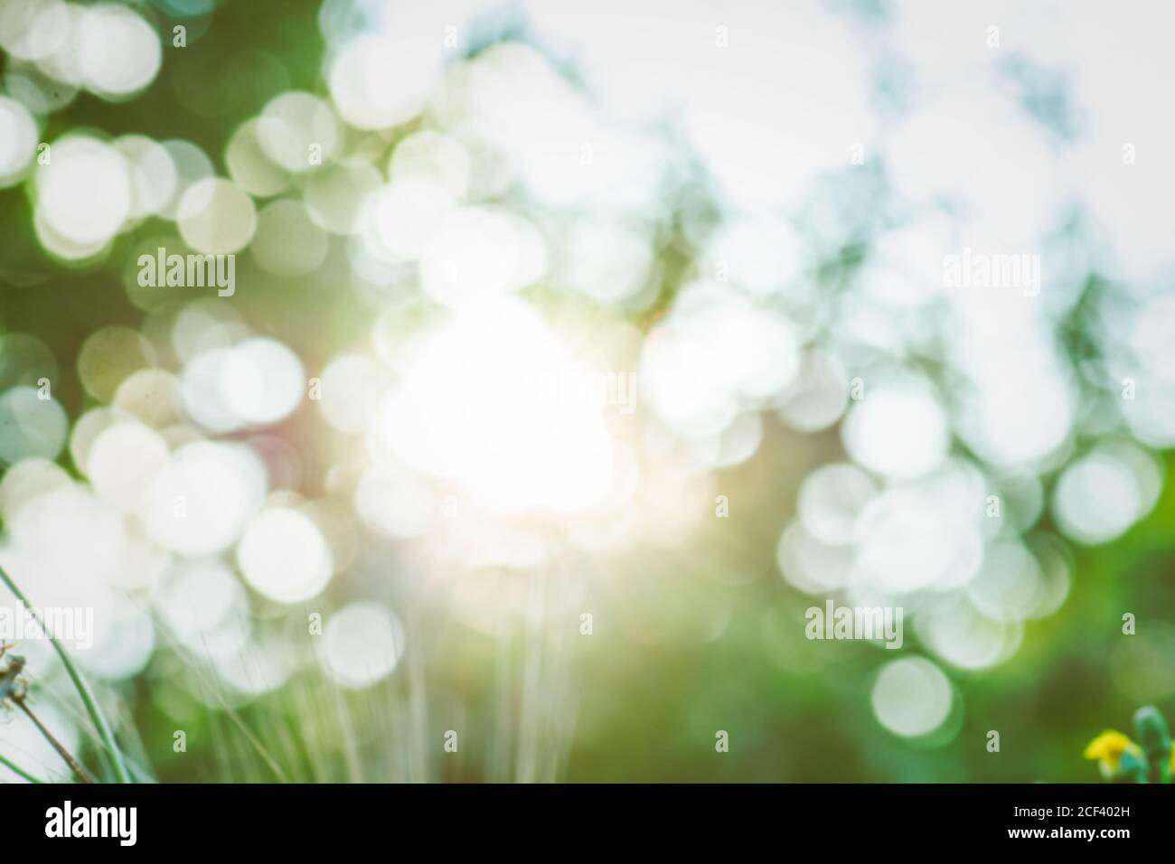 Bright summer defocused bokeh effect garden with sunlight. Green bokeh ...