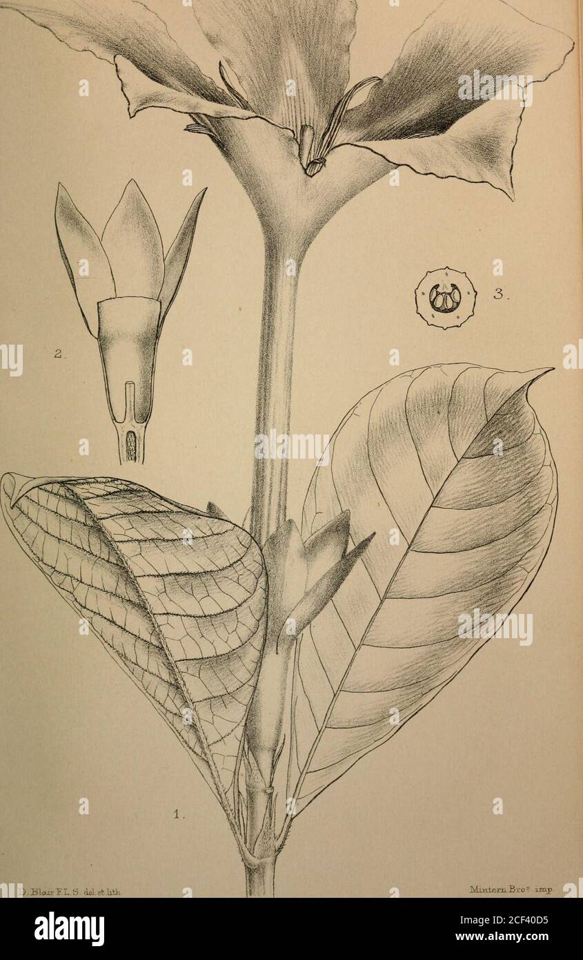 Map of hooker hi-res stock photography and images - Alamy