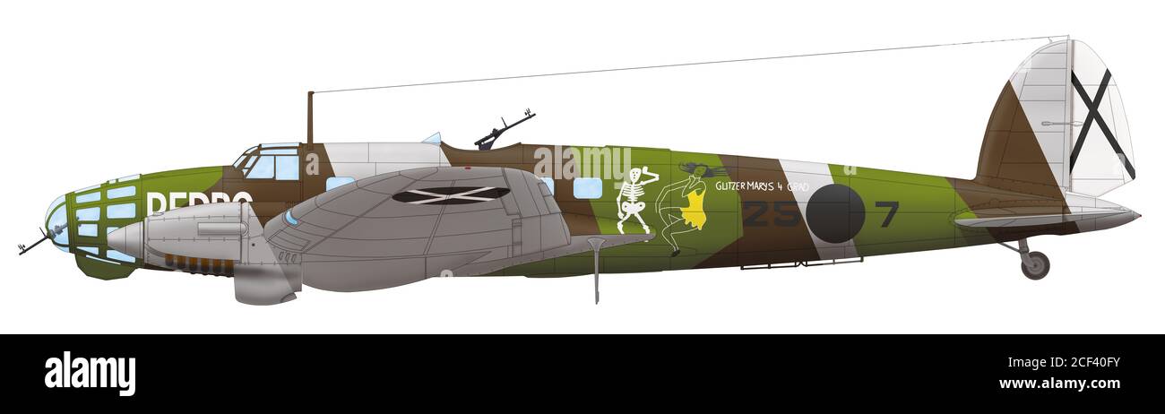 Legion condor hi-res stock photography and images - Alamy